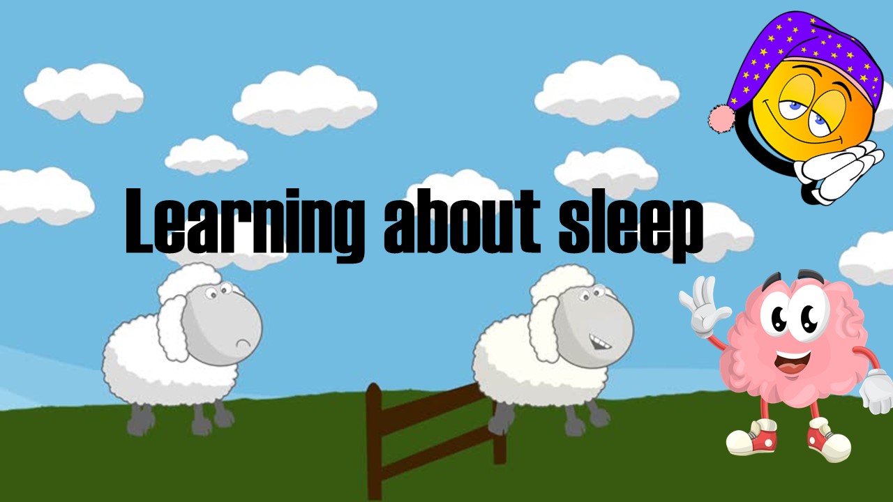 Counseling Tools to Help Students Improve their SLEEP - The Counseling ...